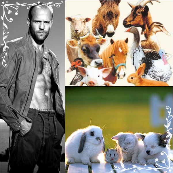 Ok Tendresse, voici mes 3 voeux entre nous hein lol at Mon monde à moi